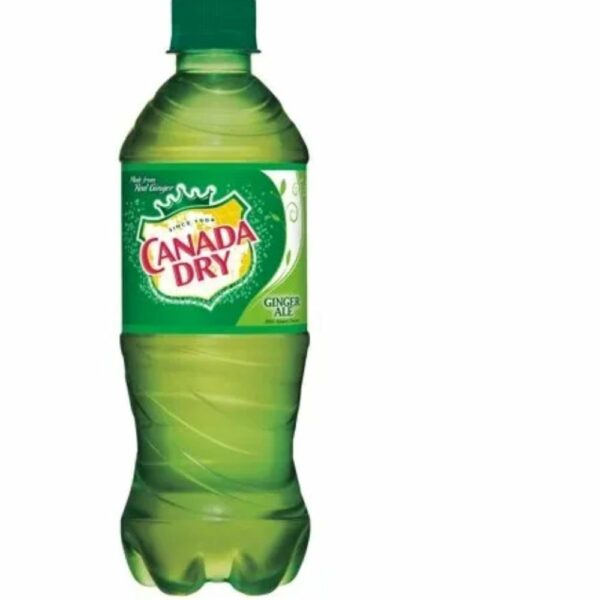 Canada Dry Ginger Ale, 20 Oz Bottle – Beverage for You